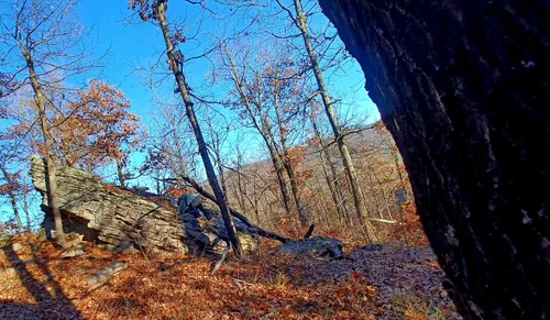 Best Hikes and Trails in Stack Rock Scenic Area | AllTrails