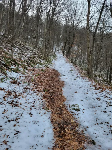 Best Hikes and Trails in Taconic Ridge State Forest | AllTrails