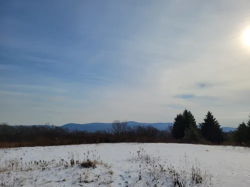 Best Hikes and Trails in Taconic Ridge State Forest | AllTrails