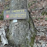 Mount Tremper Trail, New York - 1,454 Reviews, Map | AllTrails