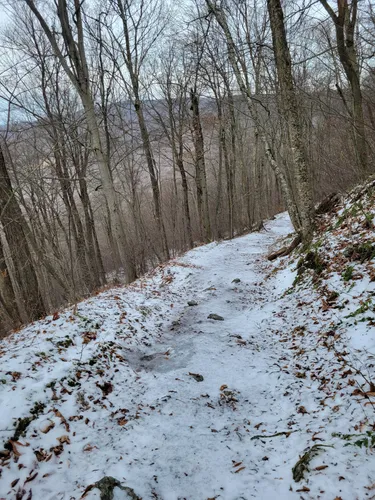 Best Hikes and Trails in Taconic Ridge State Forest | AllTrails