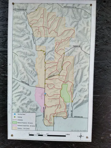 Best Hikes and Trails in Ravinia State Forest | AllTrails