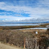 Bayshore Bikeway (Silver Strand) Trail , California - 1,155 Reviews ...