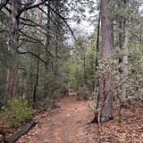 Idyllwild Park Trail, California - 868 Reviews, Map | AllTrails