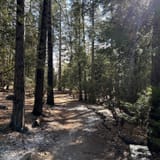 Idyllwild Park Trail, California - 868 Reviews, Map | AllTrails