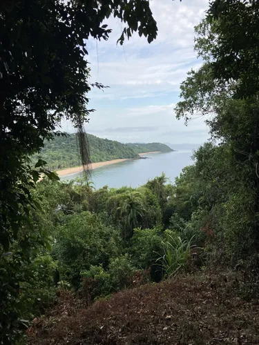 Best Hikes and Trails in Clump Mountain National Park | AllTrails