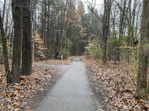Best Hikes and Trails in Harris Nature Center | AllTrails