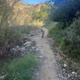 Towsley Canyon Loop Trail, California - 3,758 Reviews, Map | AllTrails