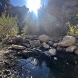 Towsley Canyon Loop Trail, California - 3,758 Reviews, Map | AllTrails