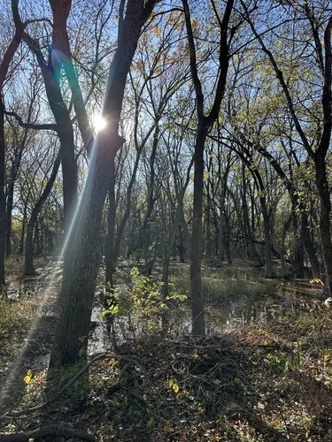 Best Hikes and Trails in Gatewood Park | AllTrails