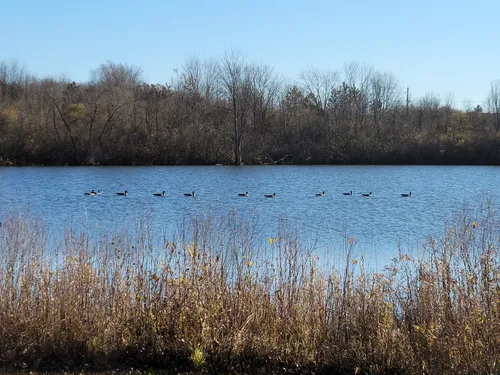 Best Hikes and Trails in Creasey Bicentennial Park | AllTrails