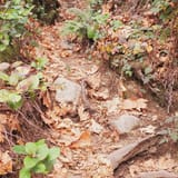 Index Town Wall Trail, Washington - 740 Reviews, Map | AllTrails