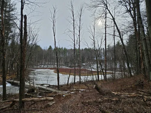 Best Hikes and Trails in Nelsonville | AllTrails