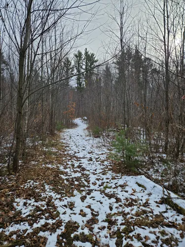 Best Hikes and Trails in Nelsonville | AllTrails