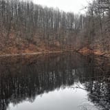 Mountain Tea State Forest Cabin and Pond, Indiana - 189 Reviews, Map ...