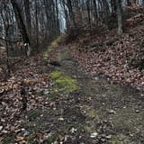 Mountain Tea State Forest Cabin and Pond, Indiana - 189 Reviews, Map ...