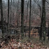 Mountain Tea State Forest Cabin and Pond, Indiana - 189 Reviews, Map ...