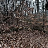 Mountain Tea State Forest Cabin and Pond, Indiana - 189 Reviews, Map ...