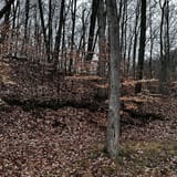 Mountain Tea State Forest Cabin and Pond, Indiana - 189 Reviews, Map ...