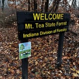 Mountain Tea State Forest Cabin and Pond, Indiana - 189 Reviews, Map ...