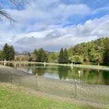 Spring Lake Loop, California - 1,497 Reviews, Map | AllTrails