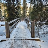 Fenland Trail, Alberta, Canada - 778 Reviews, Map | AllTrails