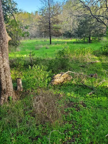 Best Hikes and Trails in Schulle Canyon Natural Area | AllTrails