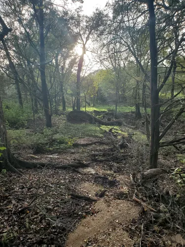 Best Hikes and Trails in Schulle Canyon Natural Area | AllTrails