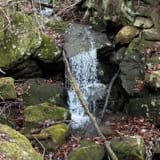 Meadow River Rail Trail, West Virginia - 23 Reviews, Map | AllTrails