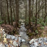 Meadow River Rail Trail, West Virginia - 23 Reviews, Map | AllTrails