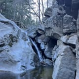 Heart Rock Trail, California - 3,025 Reviews, Map | AllTrails