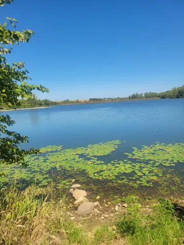 Best Hikes and Trails in Red Haw State Park | AllTrails