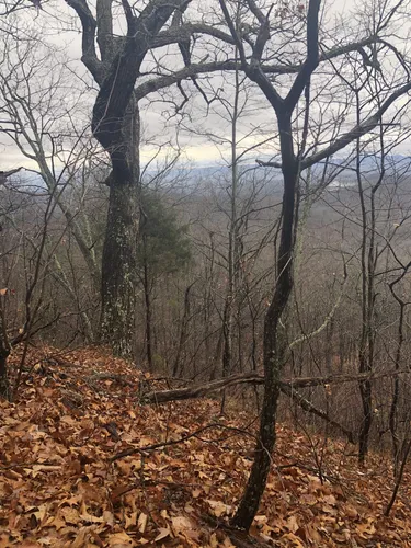 Best Hikes and Trails in Pilot Knob State Nature Preserve | AllTrails