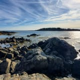 Timber Point, Maine - 397 Reviews, Map | AllTrails