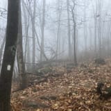 Appalachian Trail: Swift Run Gap to Rockfish Gap, Virginia - 37 Reviews ...