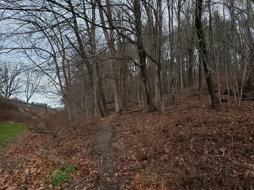 Best Hikes and Trails in Kent Falls State Park | AllTrails