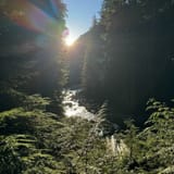 Franklin Falls Trail, Washington - 4,943 Reviews, Map | AllTrails