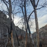 Umtanum Creek Canyon Trail, Washington - 169 Reviews, Map | AllTrails