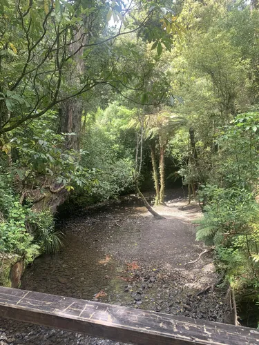 Best Hikes and Trails in Tunnel Gully Recreation Area | AllTrails