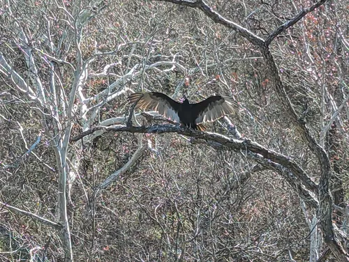 Best Hikes and Trails in Capen Park | AllTrails