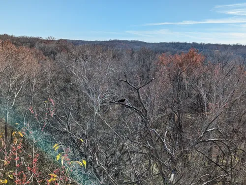 Best Hikes and Trails in Capen Park | AllTrails