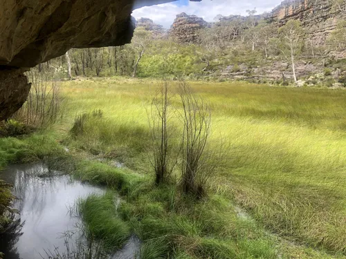 Best Hikes and Trails in Newnes State Forest | AllTrails