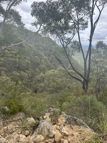 Best Waterfall Trails in Horsnell Gully Conservation Park | AllTrails