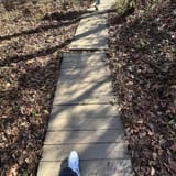 River and Matildaville Trail, Virginia - 905 Reviews, Map | AllTrails