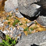 Bobbejaans River Waterfall, Western Cape, South Africa - 76 Reviews ...