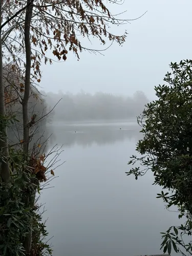 Best Hikes and Trails in Yateley Common Country Park | AllTrails