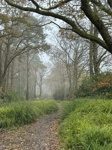 Best Hikes and Trails in Yateley Common Country Park | AllTrails