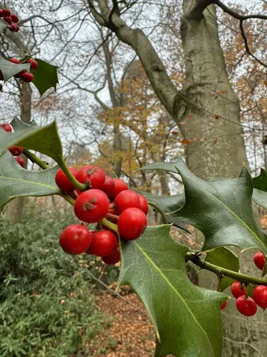 Best Hikes and Trails in Yateley Common Country Park | AllTrails