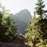 Century Sam Lake, British Columbia, Canada - 446 Reviews, Map | AllTrails