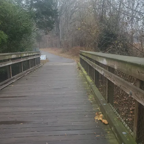 Best Forest Trails in Cornelius | AllTrails